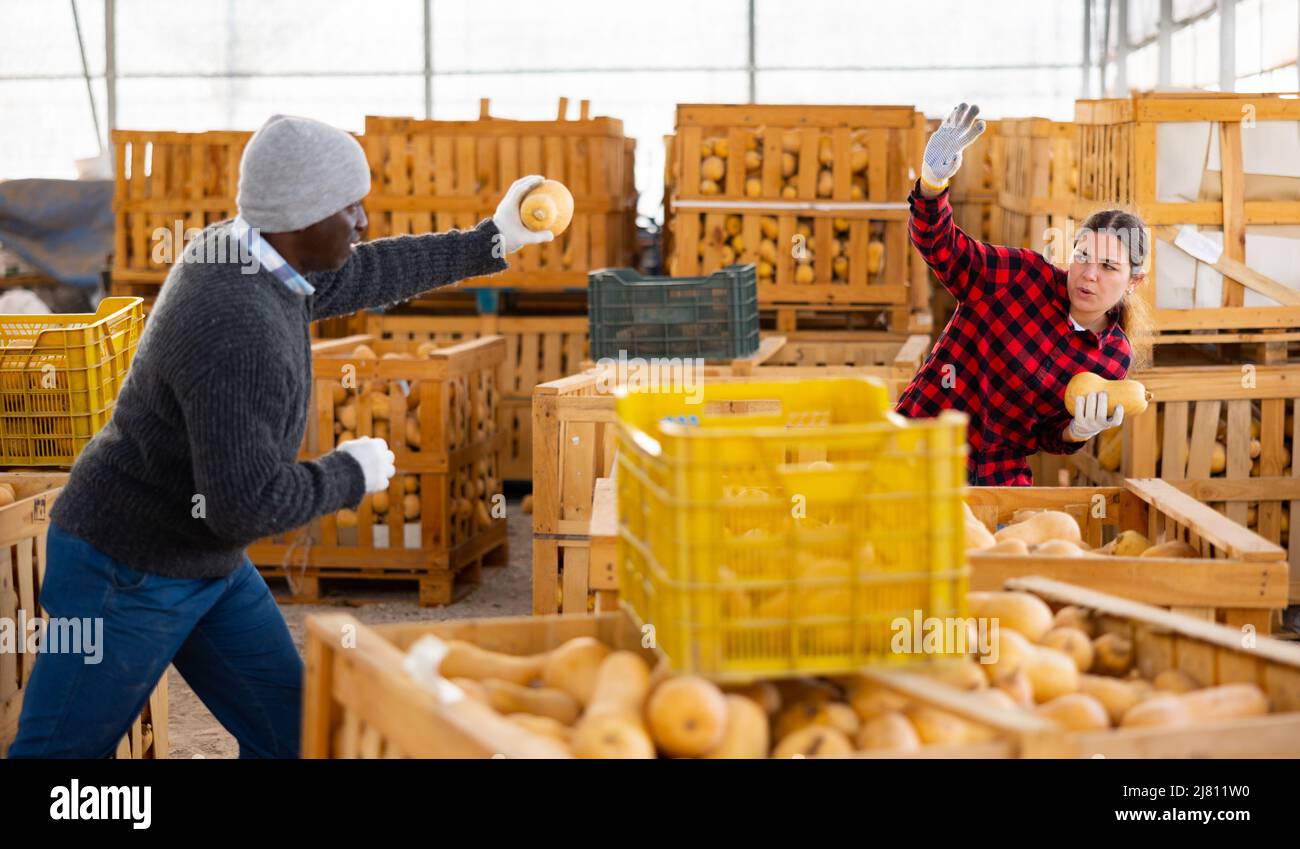 Man and woman throwing pumpkin at each other Stock Photo - Alamy