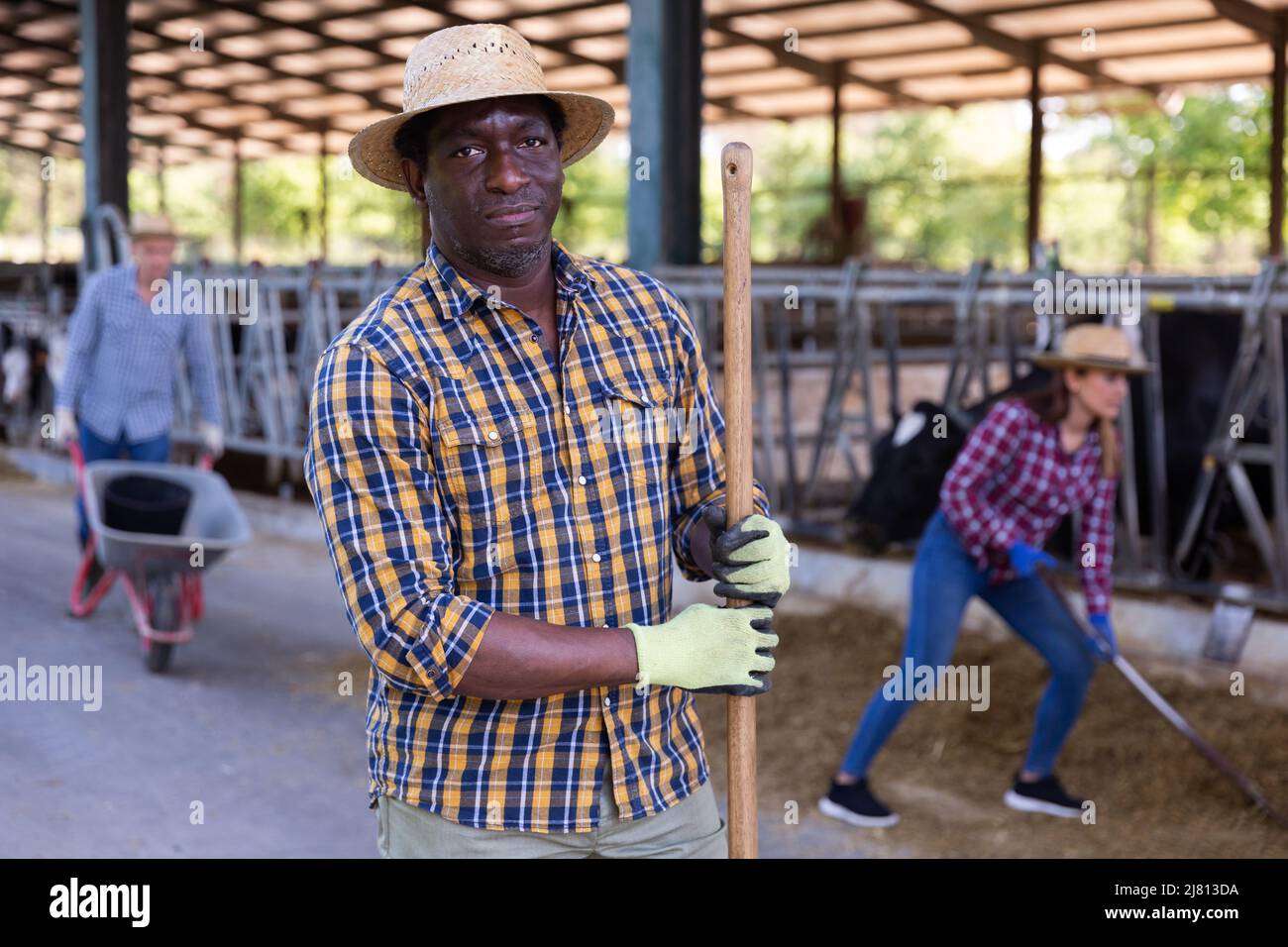 Man farmer posing at cowshed on farm Stock Photo - Alamy