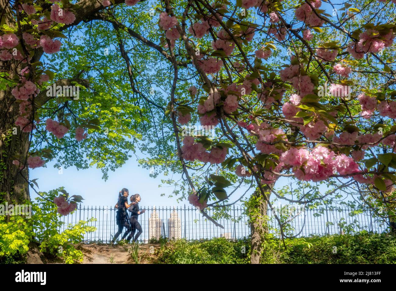 The Stephanie and Fred Shuman Running Track in Central Park is popular ...