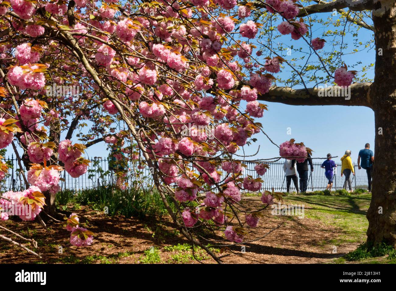 The Stephanie and Fred Shuman Running Track in Central Park is popular ...