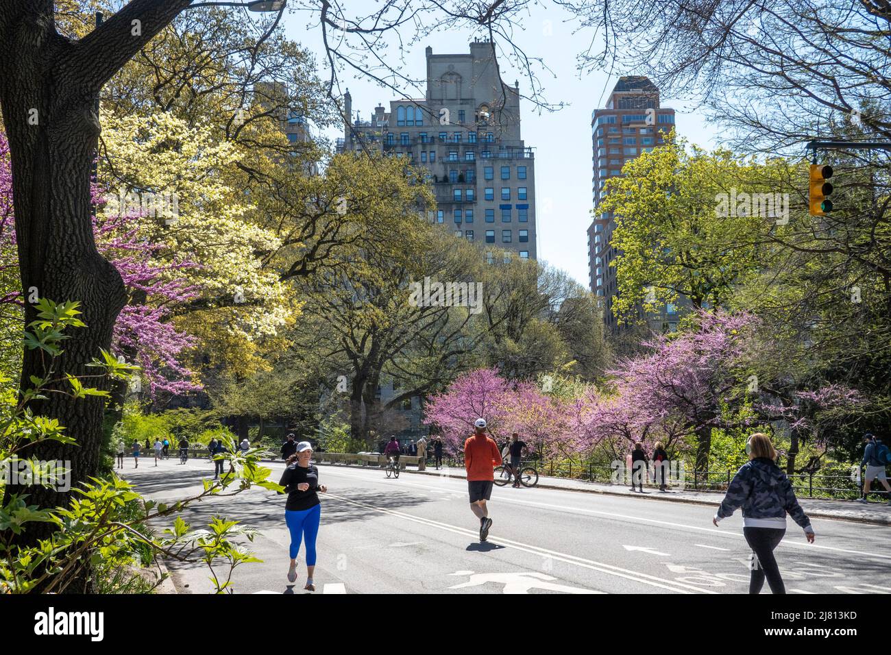 New Yorkers enjoying physical activity on the East Drive on a lovely ...