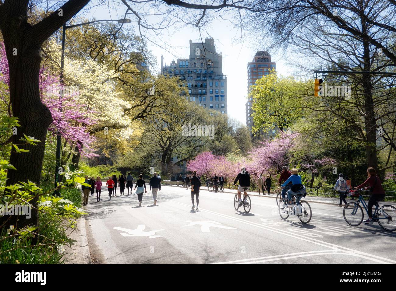 New Yorkers enjoying physical activity on the East Drive on a lovely ...