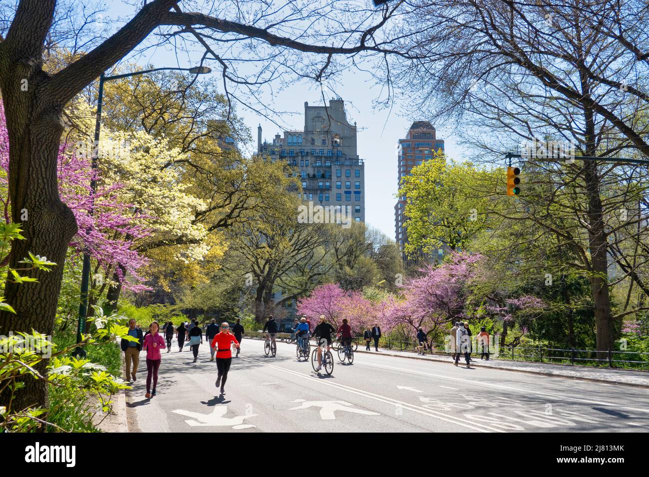 New Yorkers enjoying physical activity on the East Drive on a lovely ...