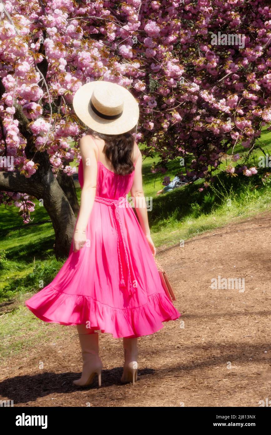 A stylish young lady models spring fashion among the blooming Kwanzan ...