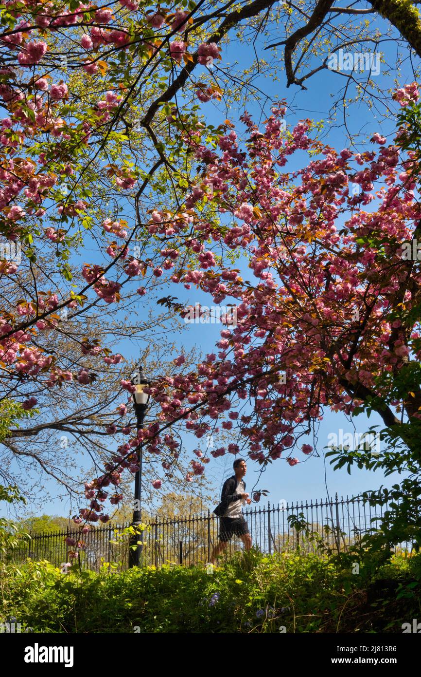 The Stephanie and Fred Shuman Running Track in Central Park is ...