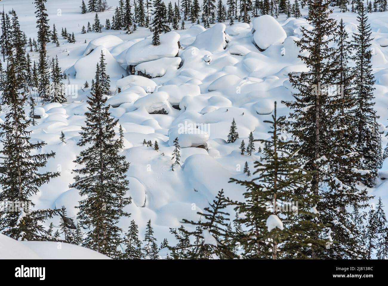 Lake Louise in Banff Park in winter time, Alberta, Canada Stock Photo ...
