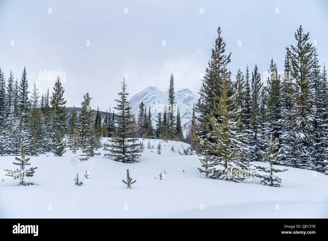 Kananaskis Country in winter time, Alberta, Canadae Stock Photo - Alamy