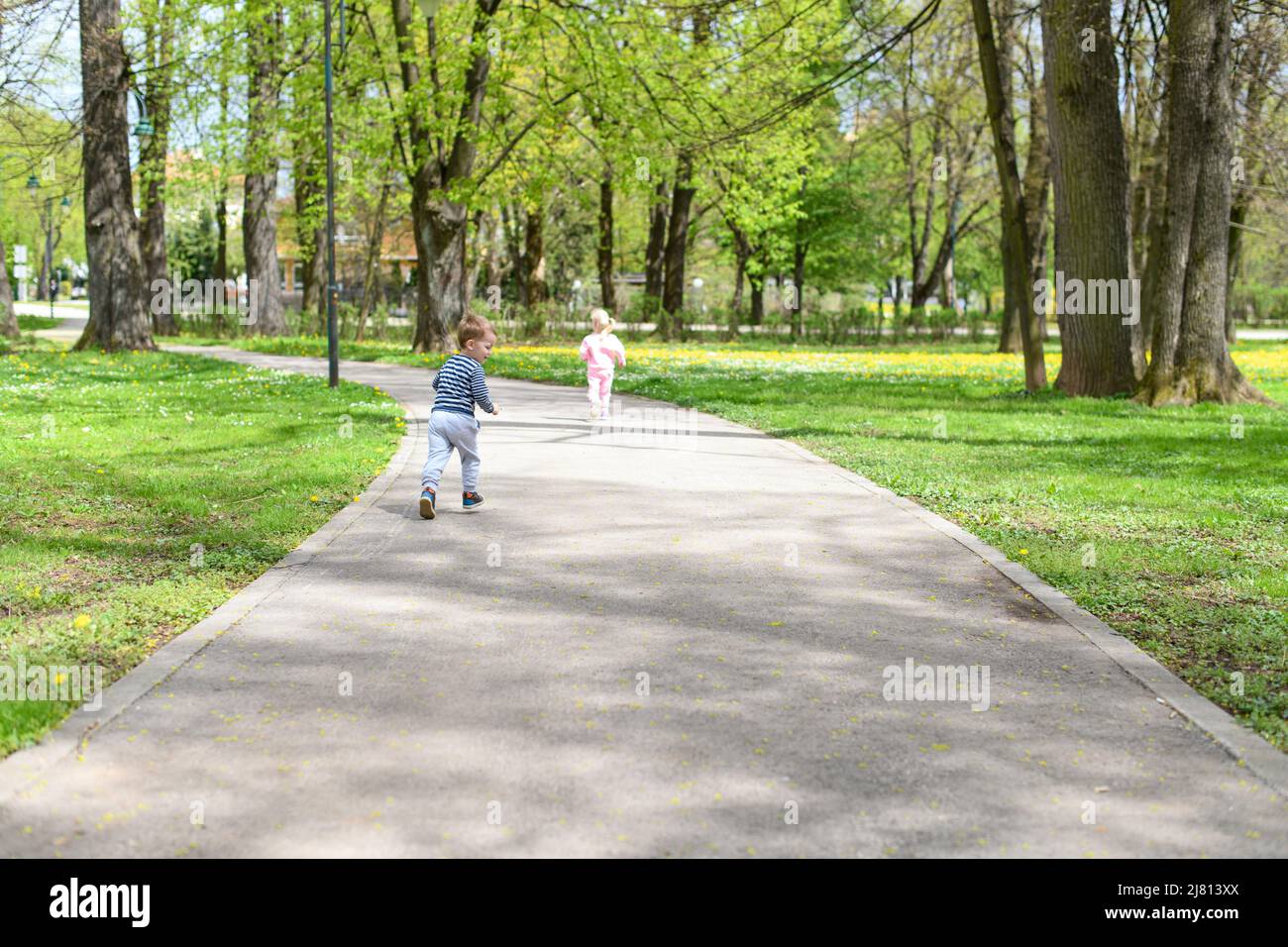 Little Kids Playing in Park - Running and Enjoying in Sunny Day - Happy ...