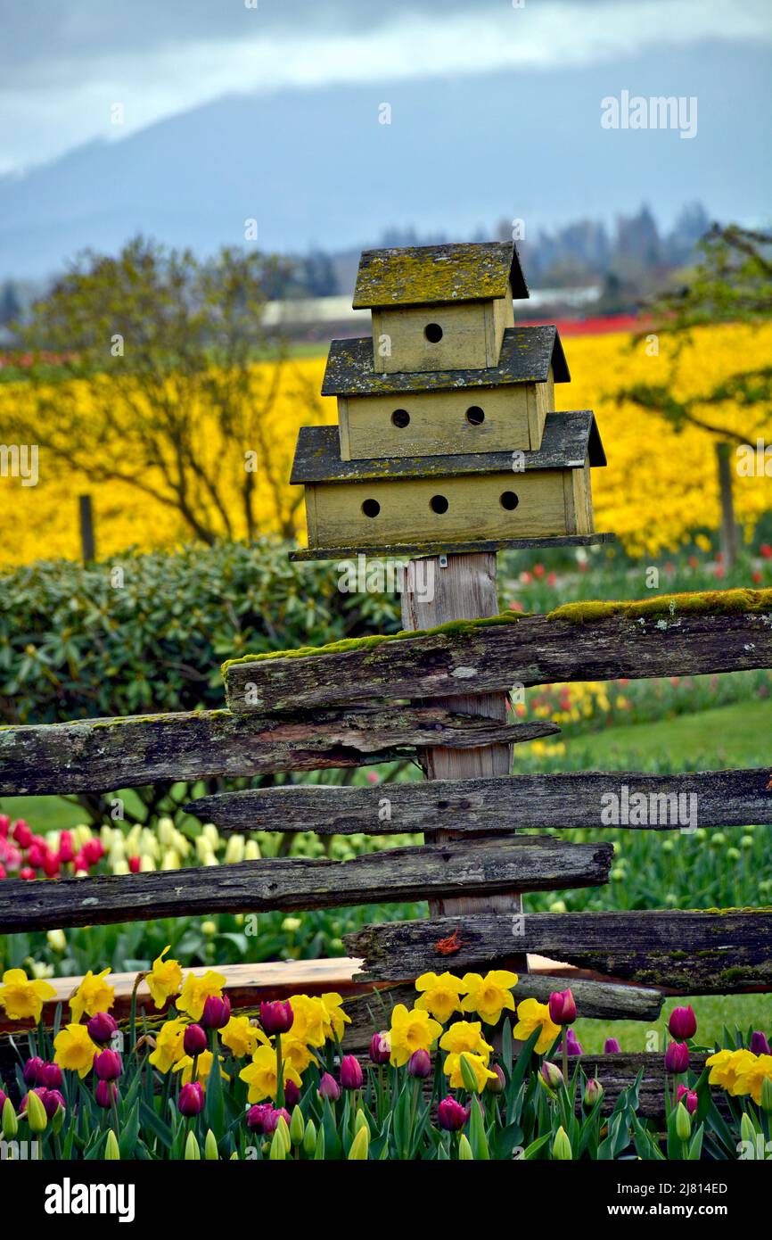 Yellow birdhouse hi-res stock photography and images - Alamy