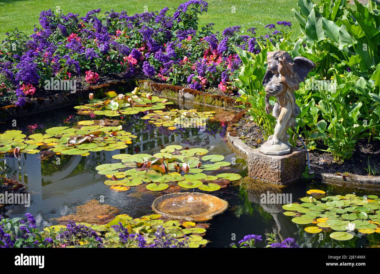 Colorful spring garden pond with cherub water fountain Stock Photo - Alamy