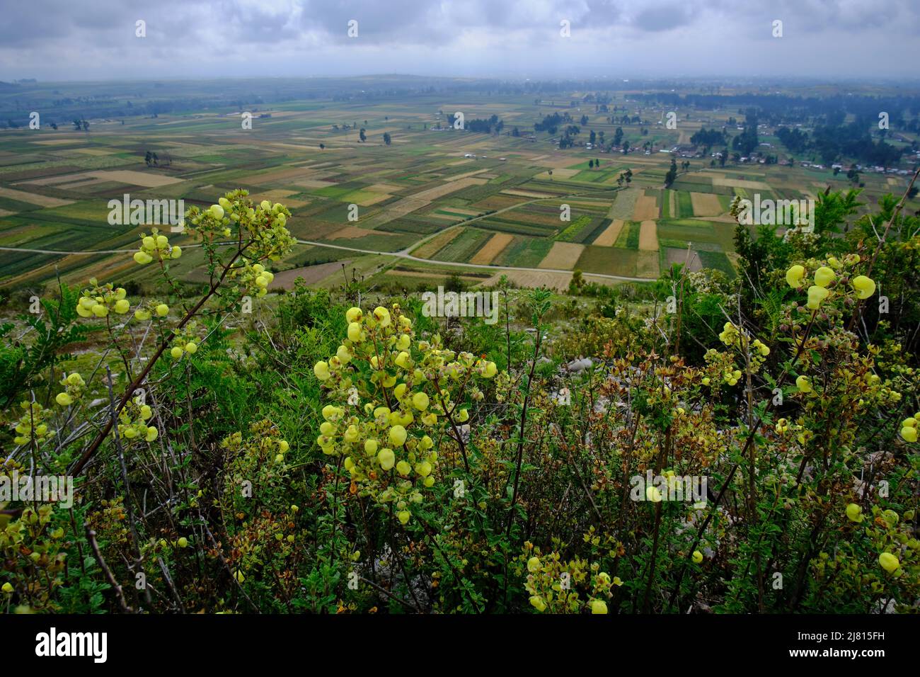 Scenario of agricultural crops in the Mantaro Valley, view from the ...