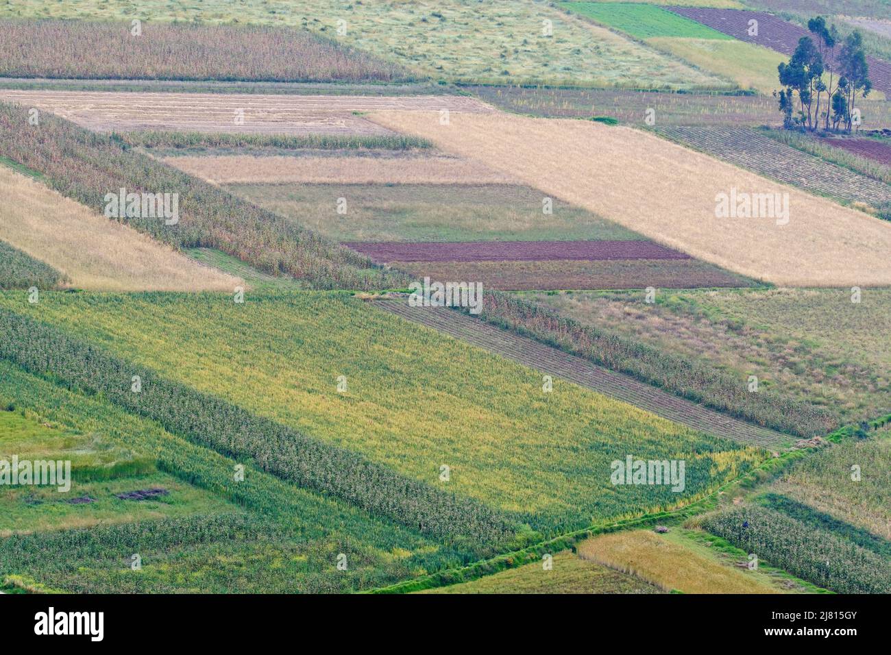 Andes mountain crops hi-res stock photography and images - Alamy