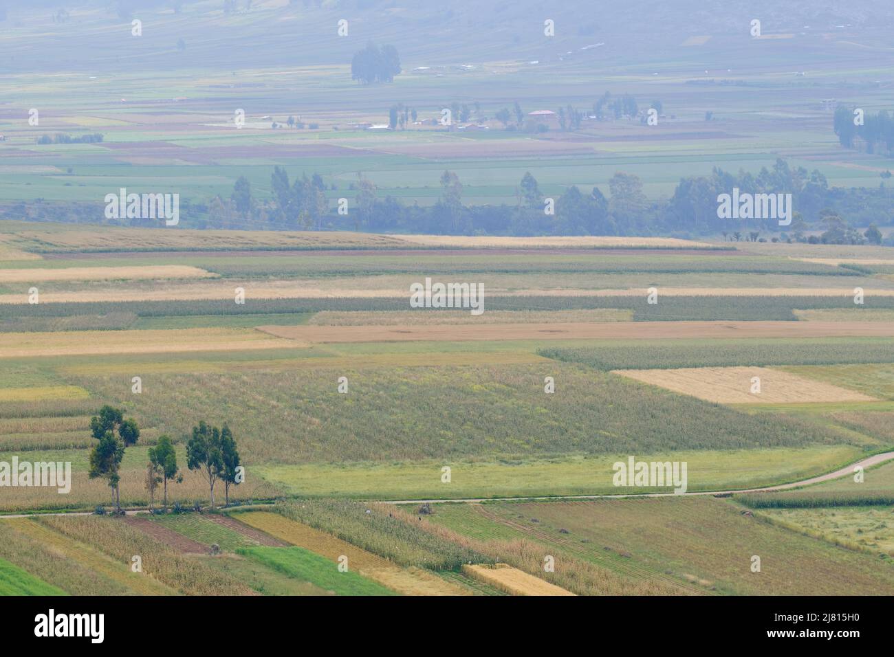 Scenario of agricultural crops in the Mantaro Valley at dawn even with ...