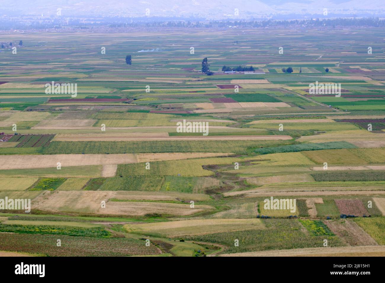 Andes mountain crops hi-res stock photography and images - Alamy