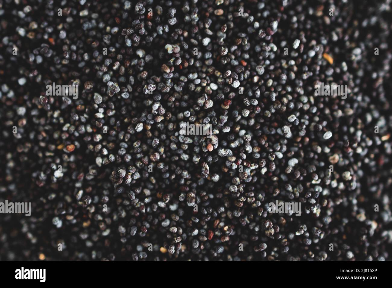 poppy seeds close-up shot of pantry ingredients, concept of simple ...