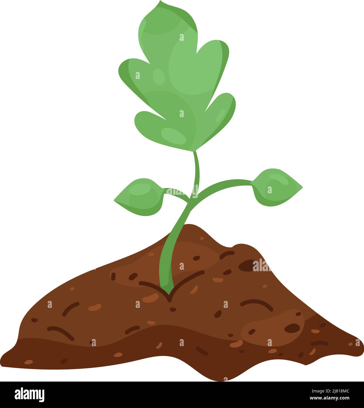 plant in ground nature icon Stock Vector Image & Art - Alamy