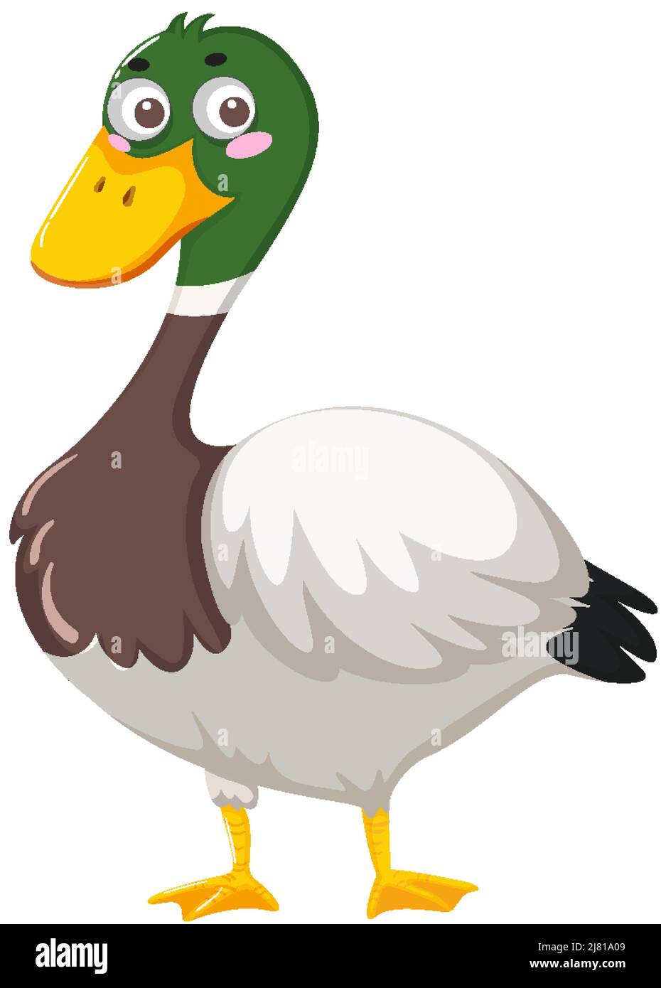 Duck cartoon character on white background illustration Stock Vector ...
