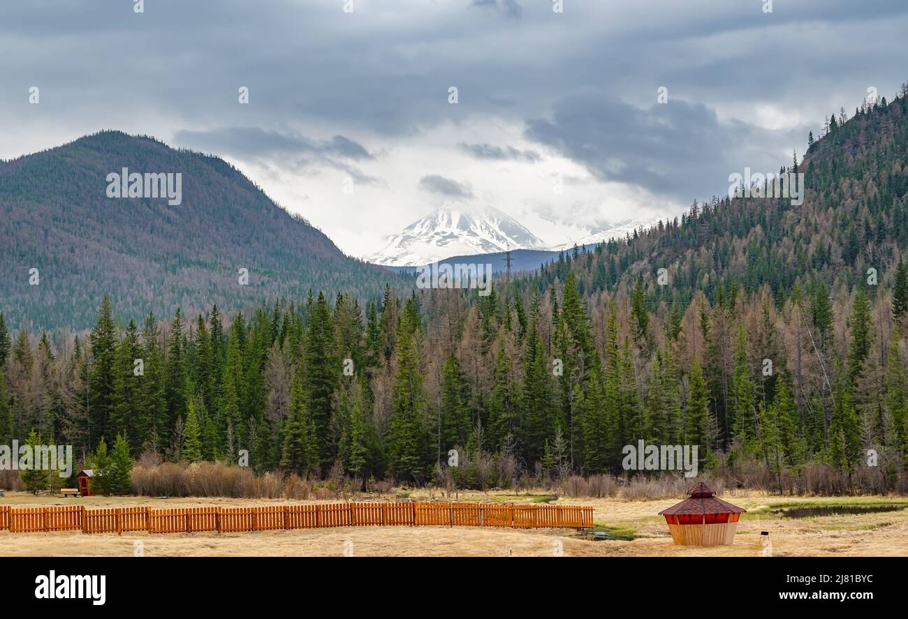 spring high mountain landscape with mixed forest, snow capped peak in ...