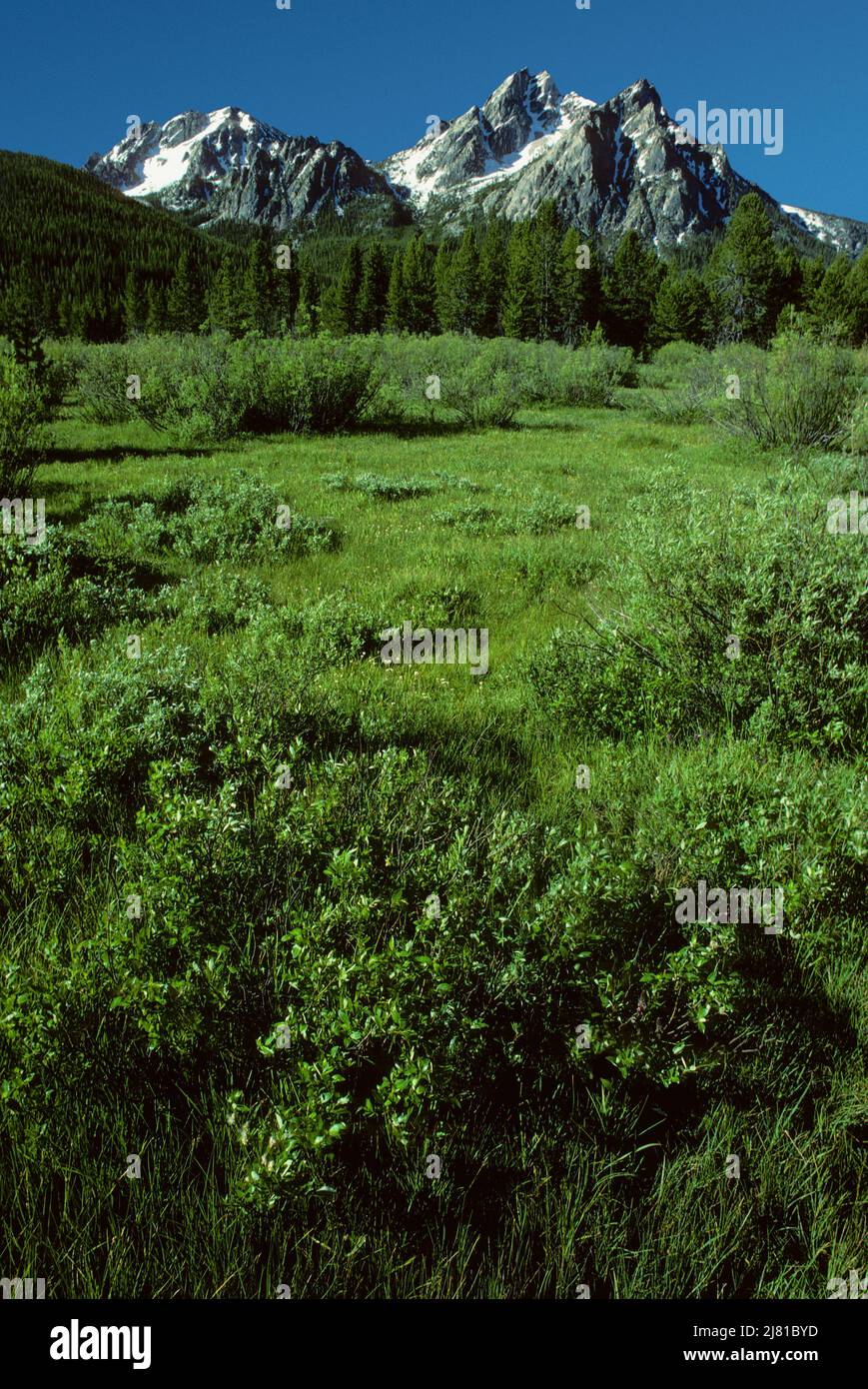 Sawtooth national forest hi-res stock photography and images - Alamy