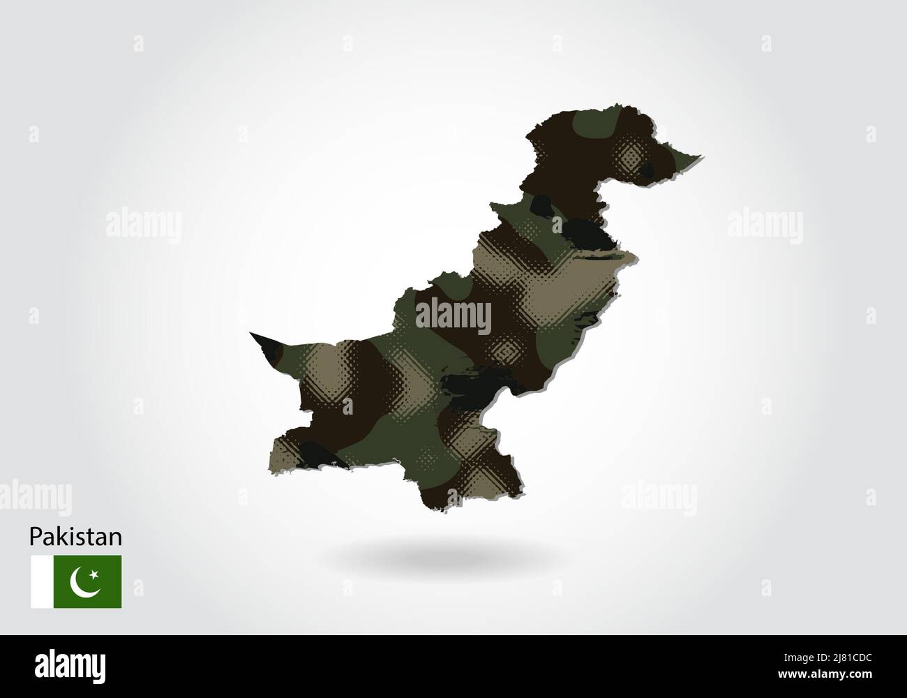 Pakistan map with camouflage pattern, Forest - green texture in map ...