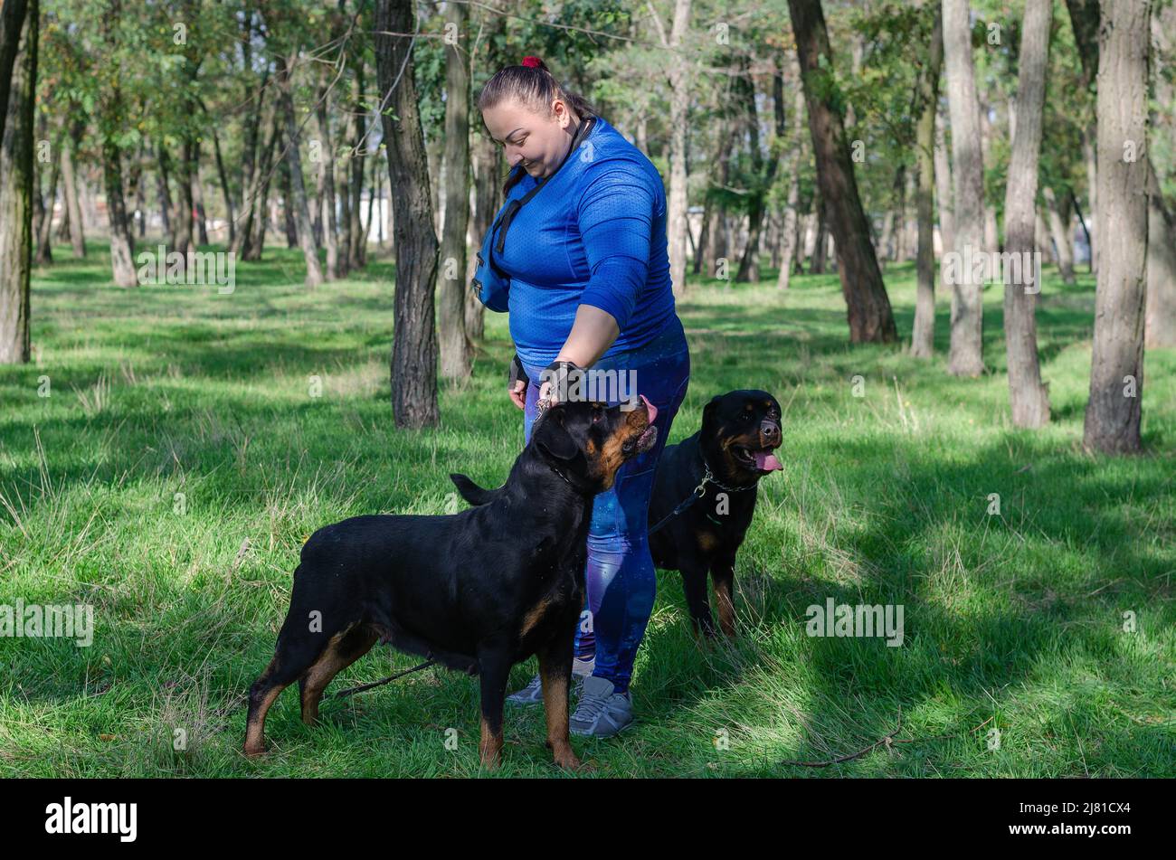 A woman in a blue sports uniform and two black dogs standing on green ...
