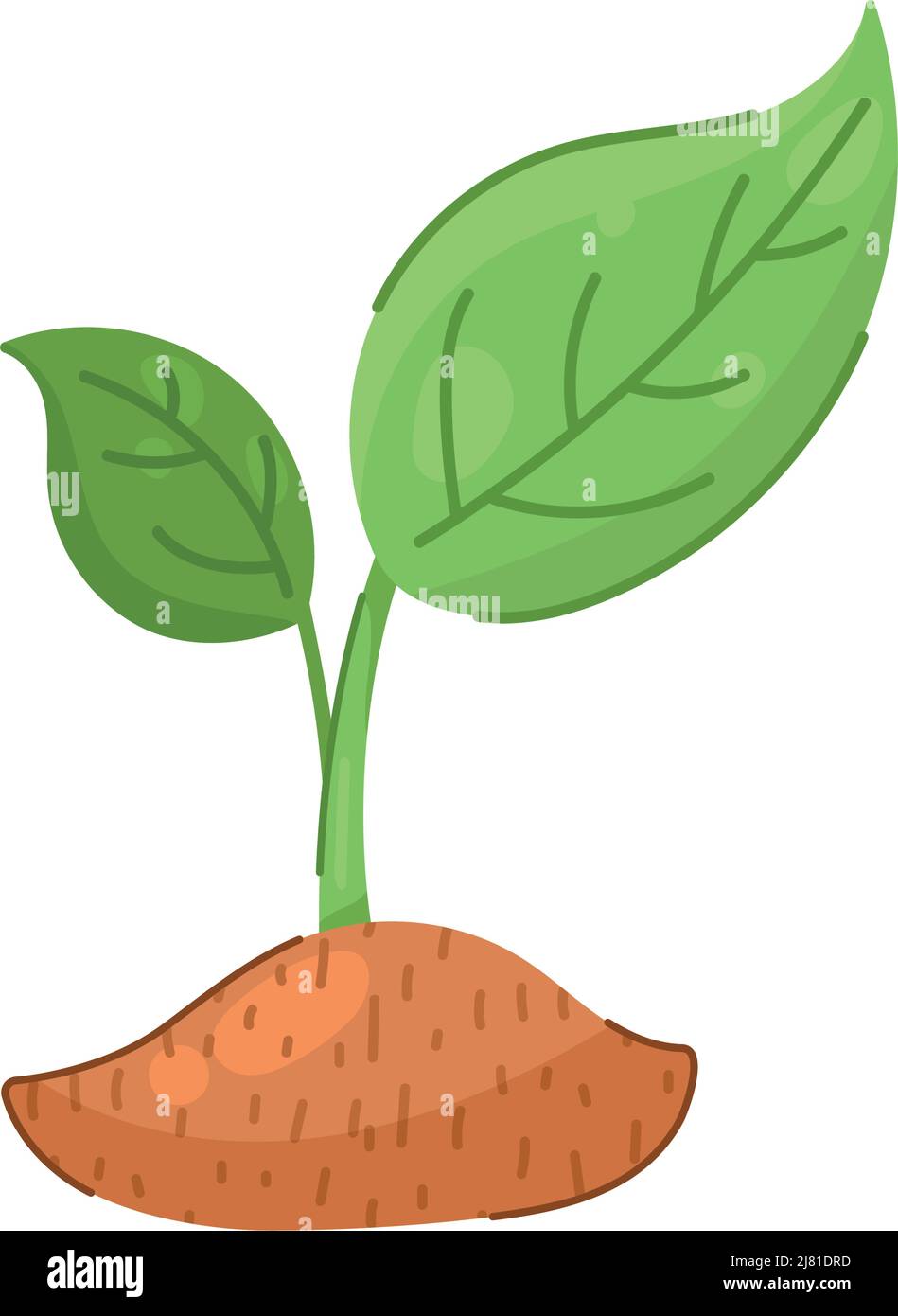 ecology plant cultivating nature icon Stock Vector Image & Art - Alamy