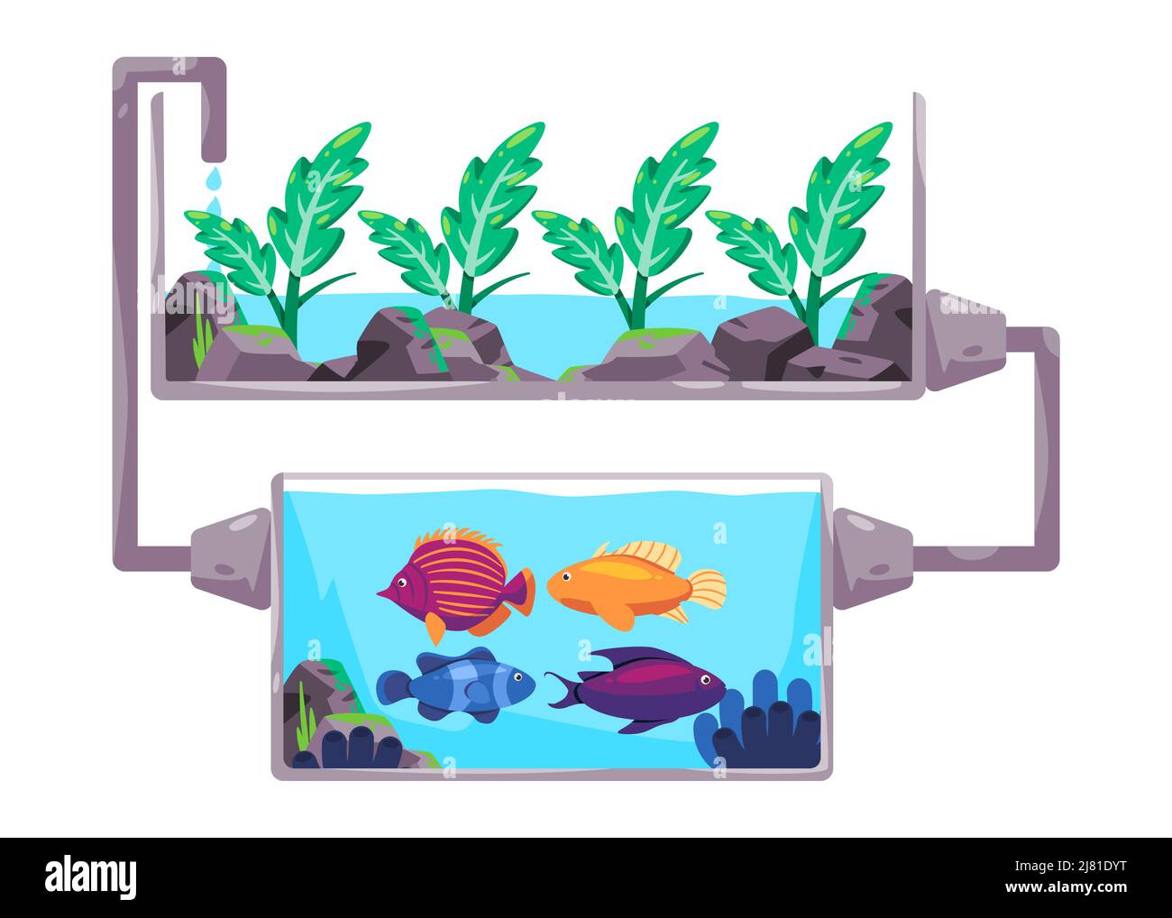 Cartoon Fish Farm