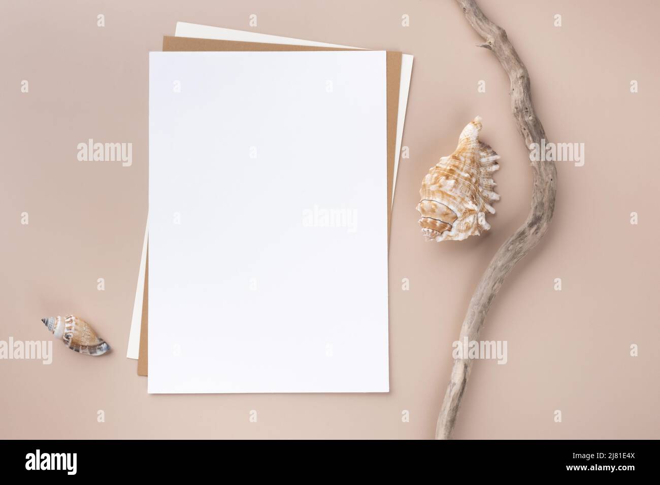 Minimal paper card mockup on beige background with branches and ...