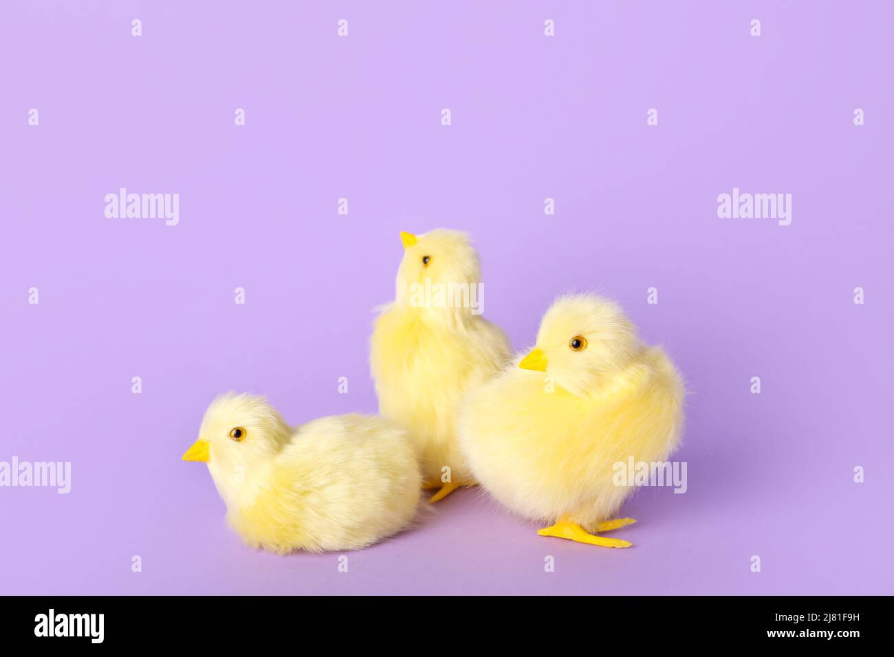 Cute yellow chickens on lilac background Stock Photo - Alamy