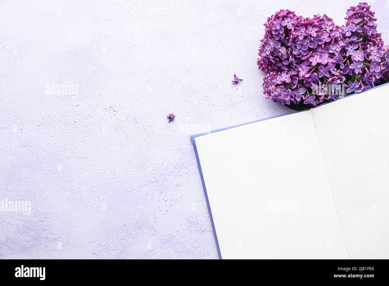 Purple lilac flowers with open book on white background Stock Photo - Alamy