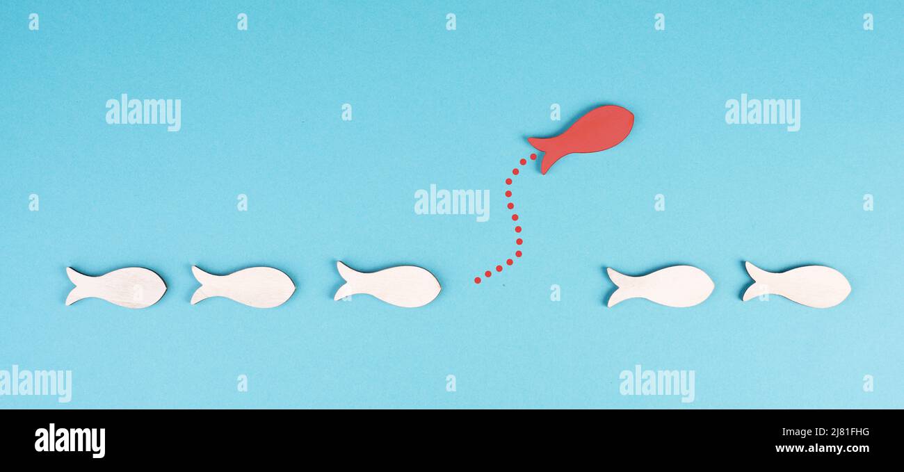 One red fish takes a different direction, leader of the group ...