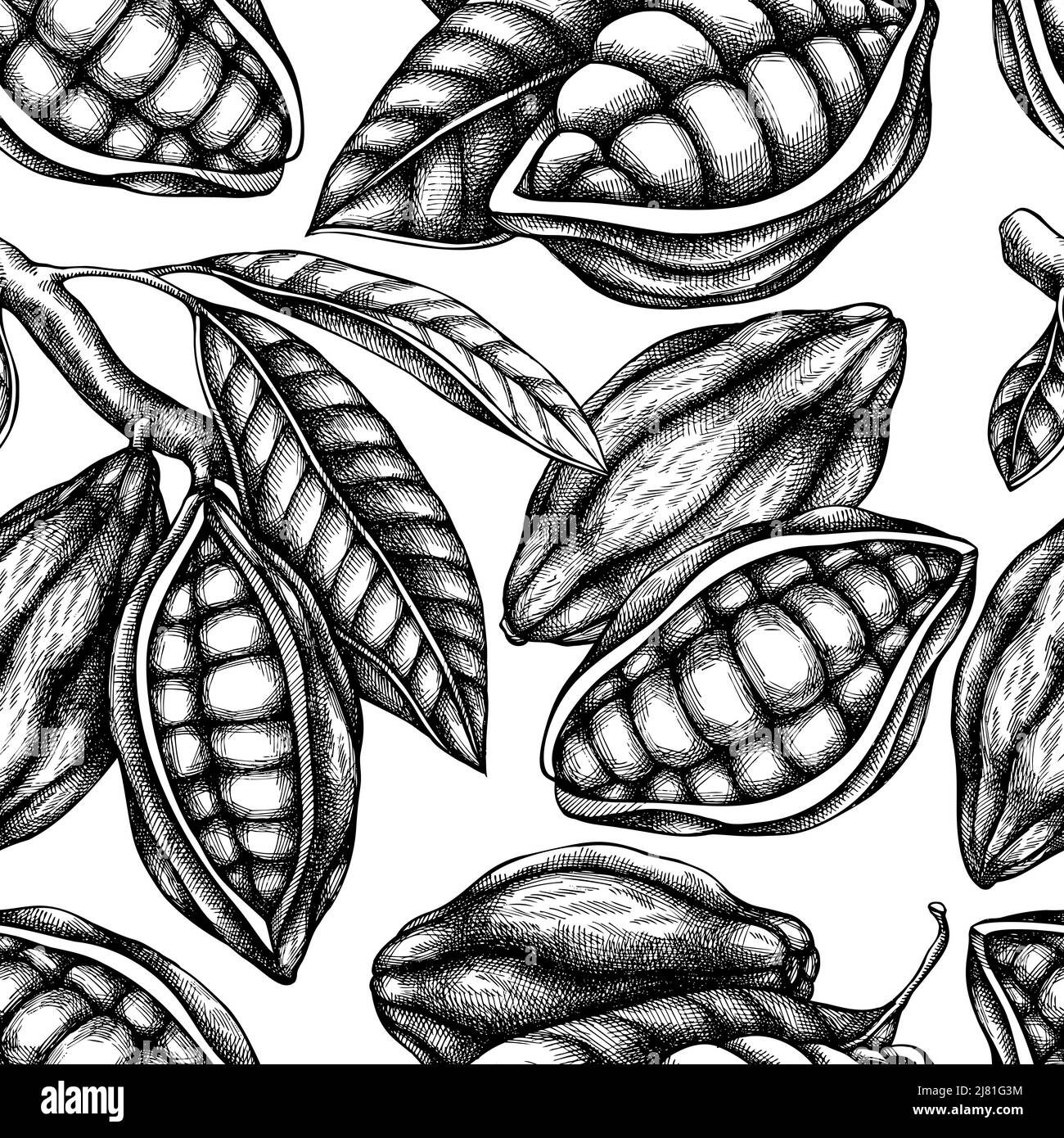 Open cacao pod Stock Vector Images - Alamy