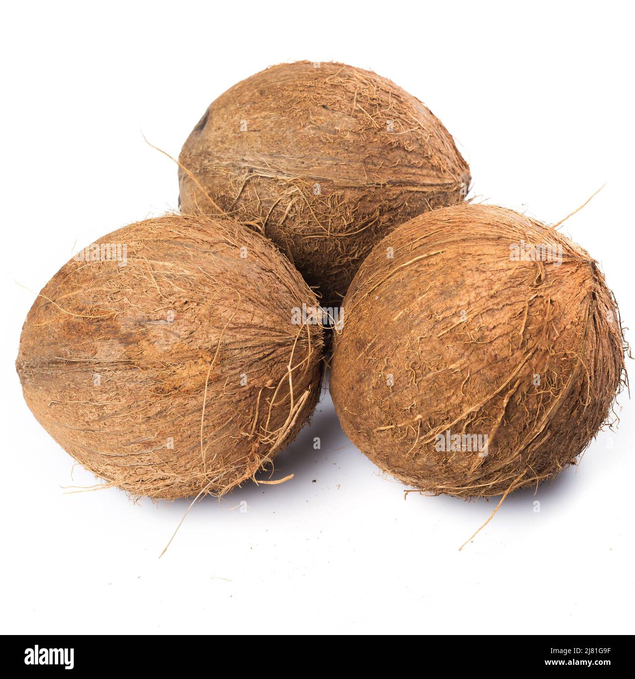 Fresh tropical fruits coconuts on white background Stock Photo - Alamy