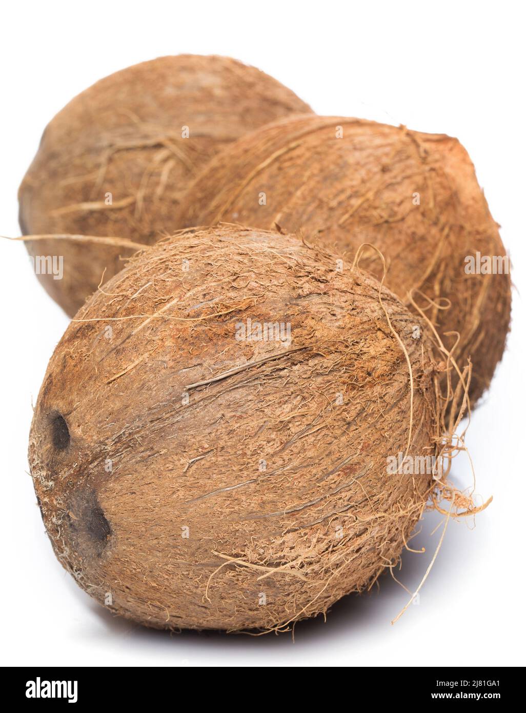 Fresh tropical fruits coconuts on white background Stock Photo - Alamy