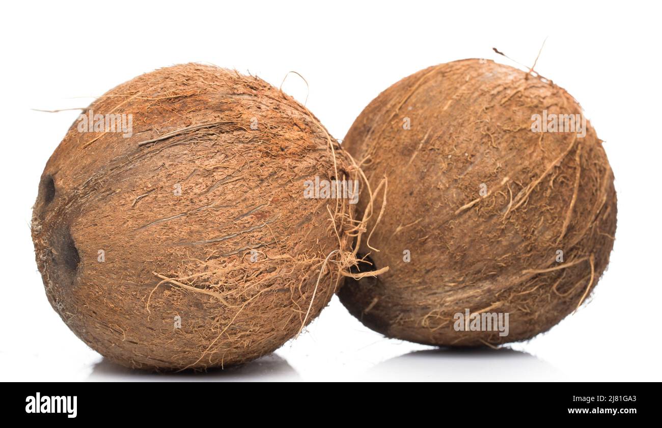 Fresh tropical fruits coconuts on white background Stock Photo - Alamy