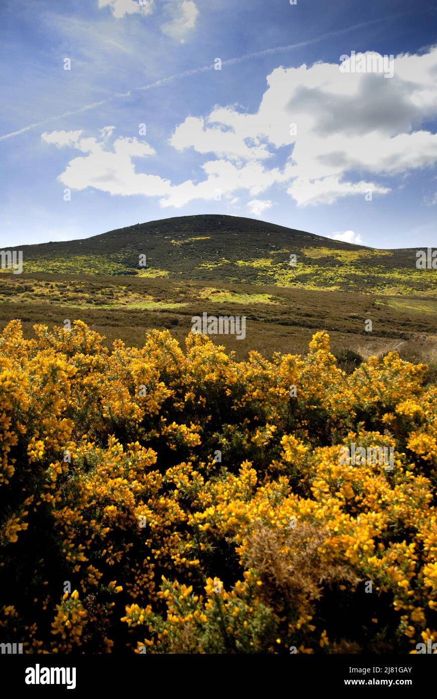 The Simonside hills near Rothbury, Northumberland Stock Photo - Alamy