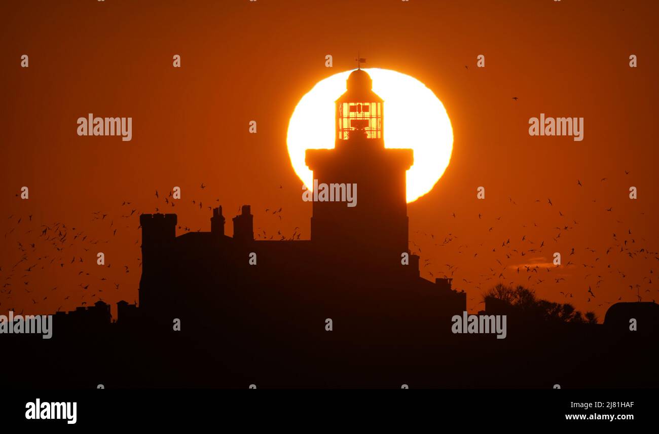 The sunrises over Coquet Island which sits 1.2 km off the ...
