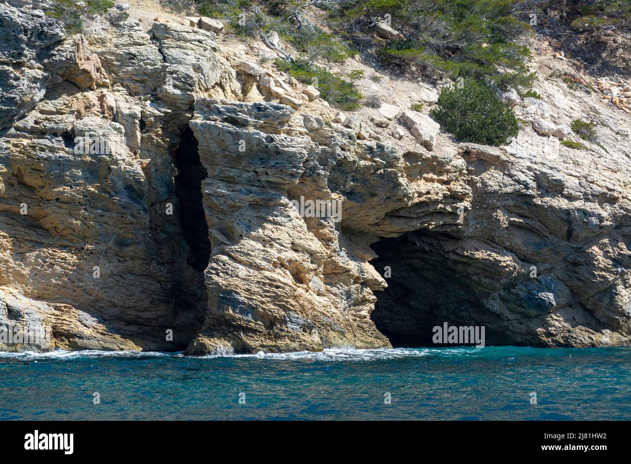 Mediterranean pine trees growing on white limestone rocks and cliffs in ...