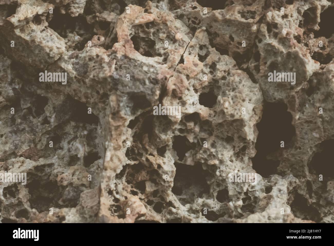 Macro close up rock crack stone solid foamy form raw porous lava ...