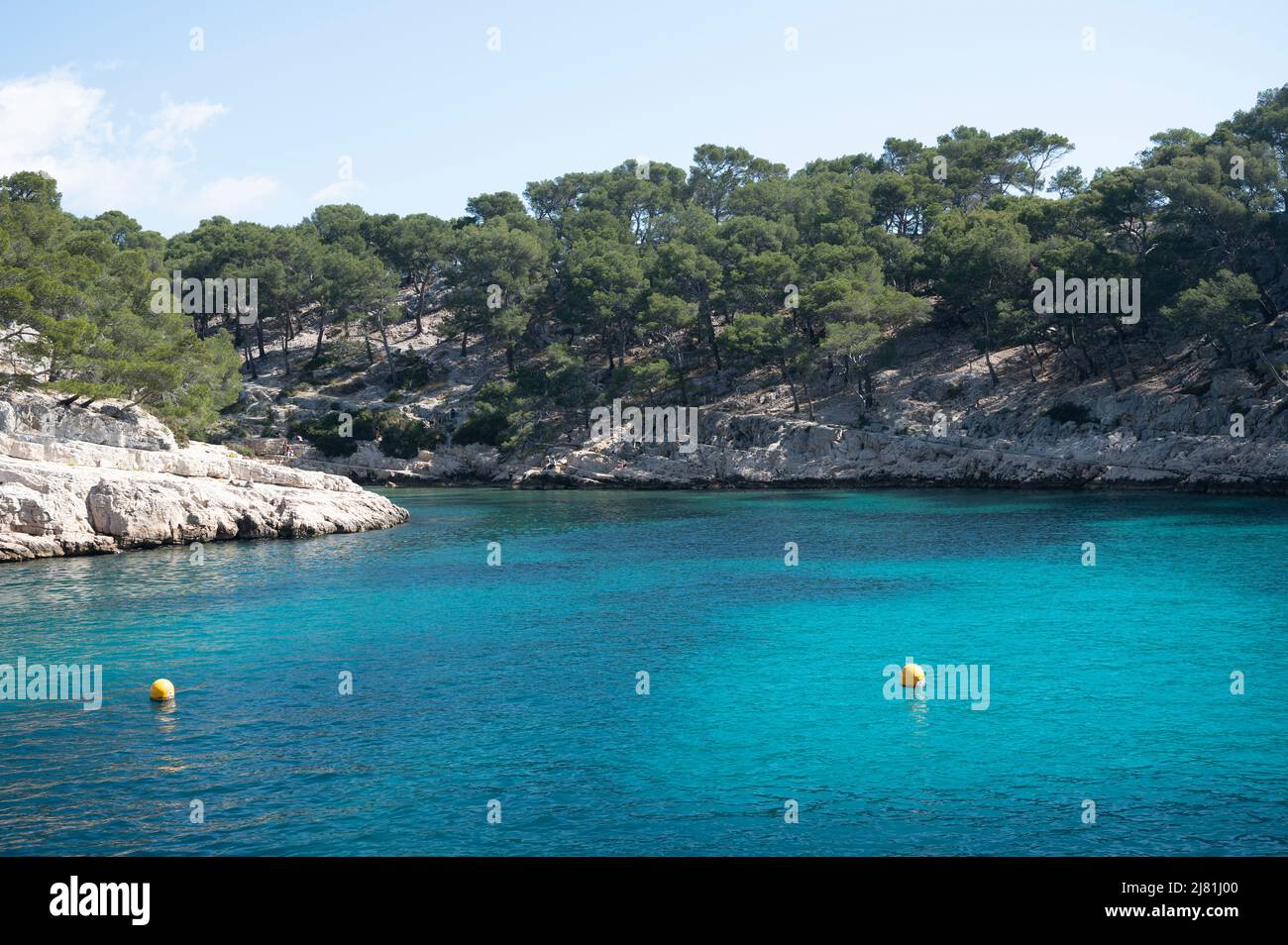 View on Calanque de Port Pin near Cassis, boat excursion to Calanques ...