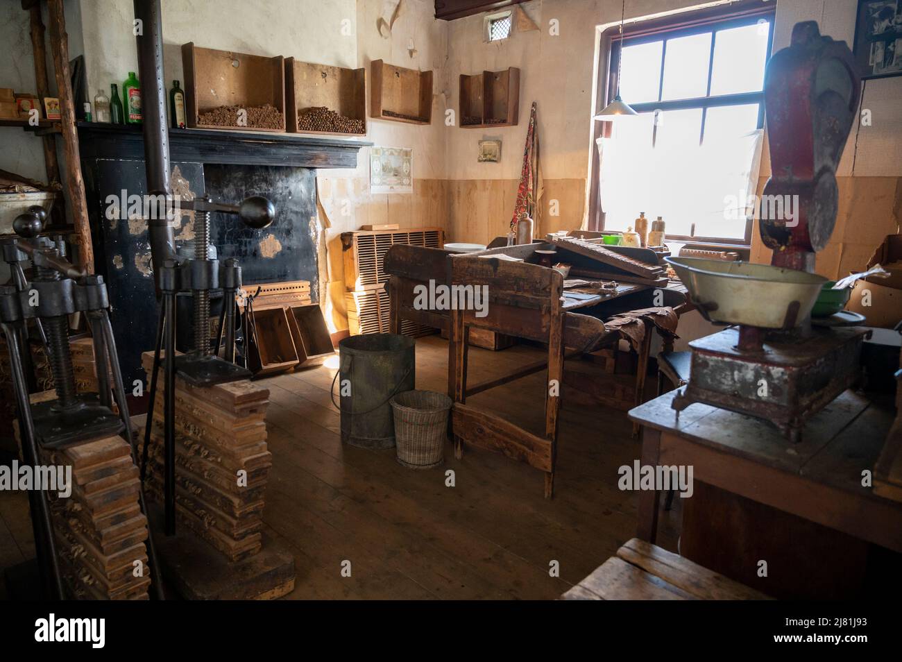 Old traditional Dutch sigar shop, hand made sigars from tabac leaves ...