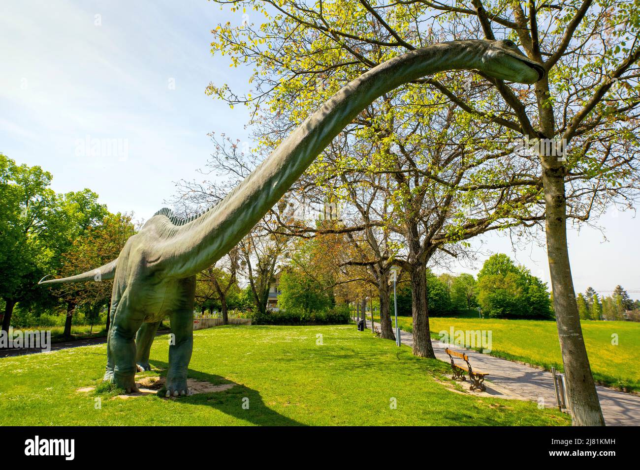 Dinosaurier basel hi-res stock photography and images - Alamy