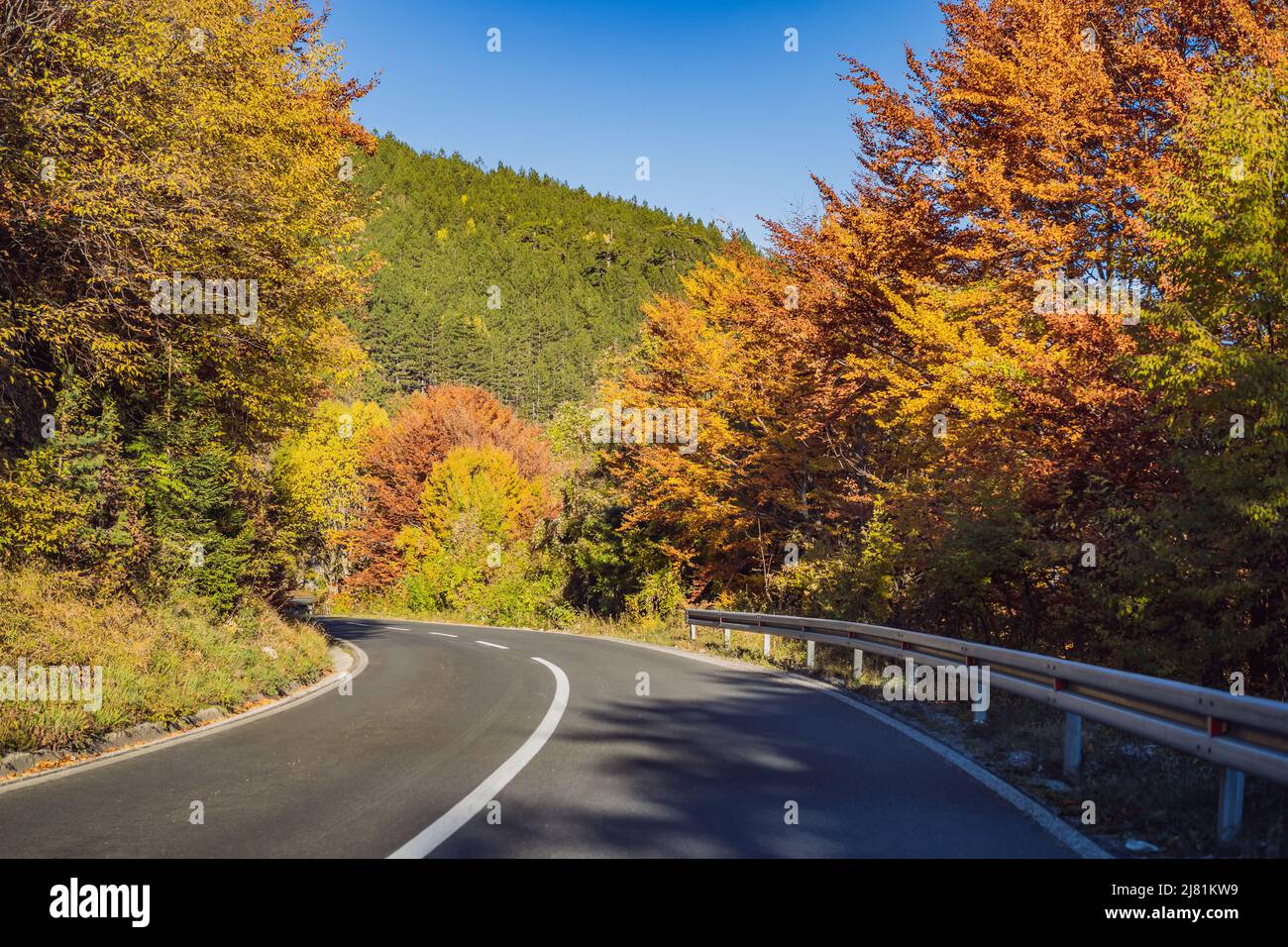 Beautiful autumn view of yellow trees, road and mountains, Montenegro ...