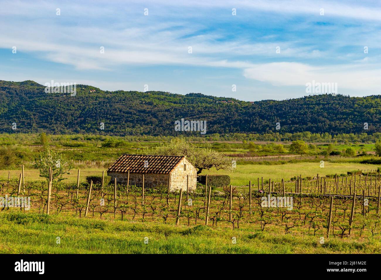 Croatian farmland hi-res stock photography and images - Alamy