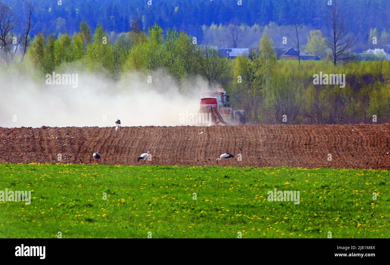 Belarus tractor 2022 hi-res stock photography and images - Alamy