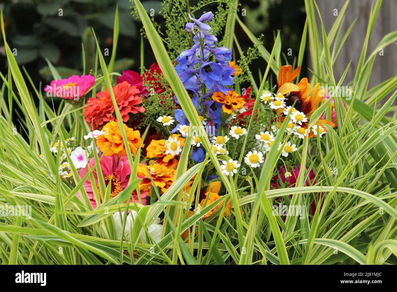 beautiful bouquet of wild flowers in the grass composition Stock Photo ...