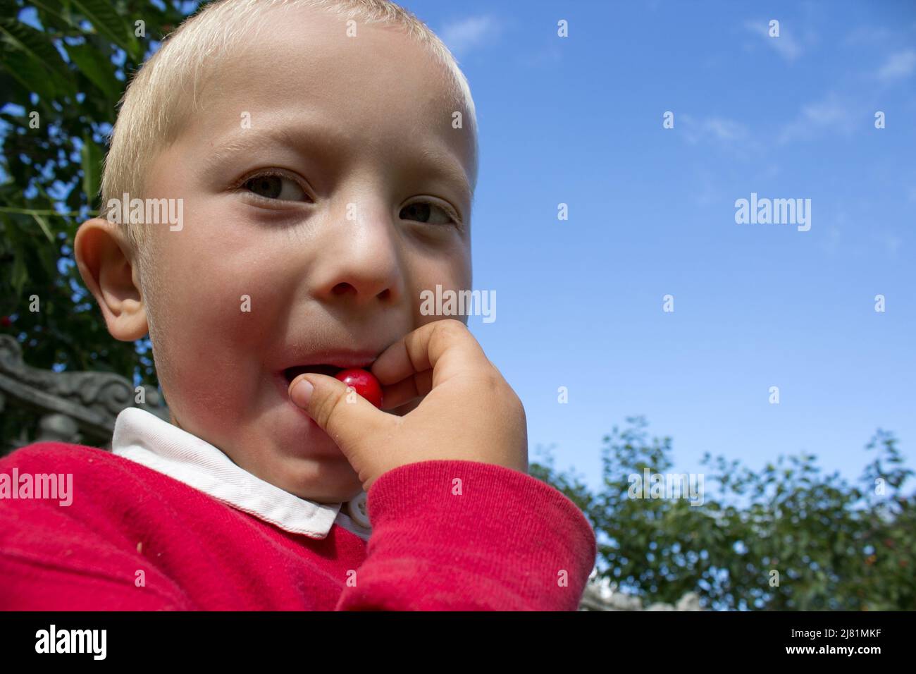 The cherry boy hi-res stock photography and images - Alamy