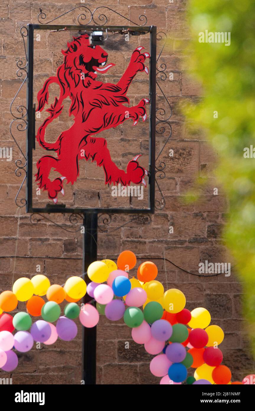 Rainbow balloons supporting the NHS outside The Red Lion pub, Newbrough ...
