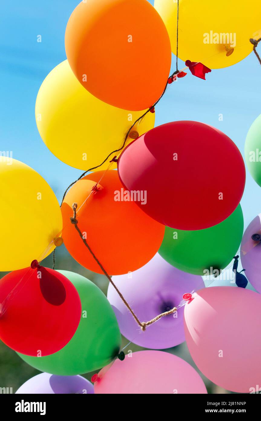 Rainbow balloons supporting the NHS outside The Red Lion pub, Newbrough ...