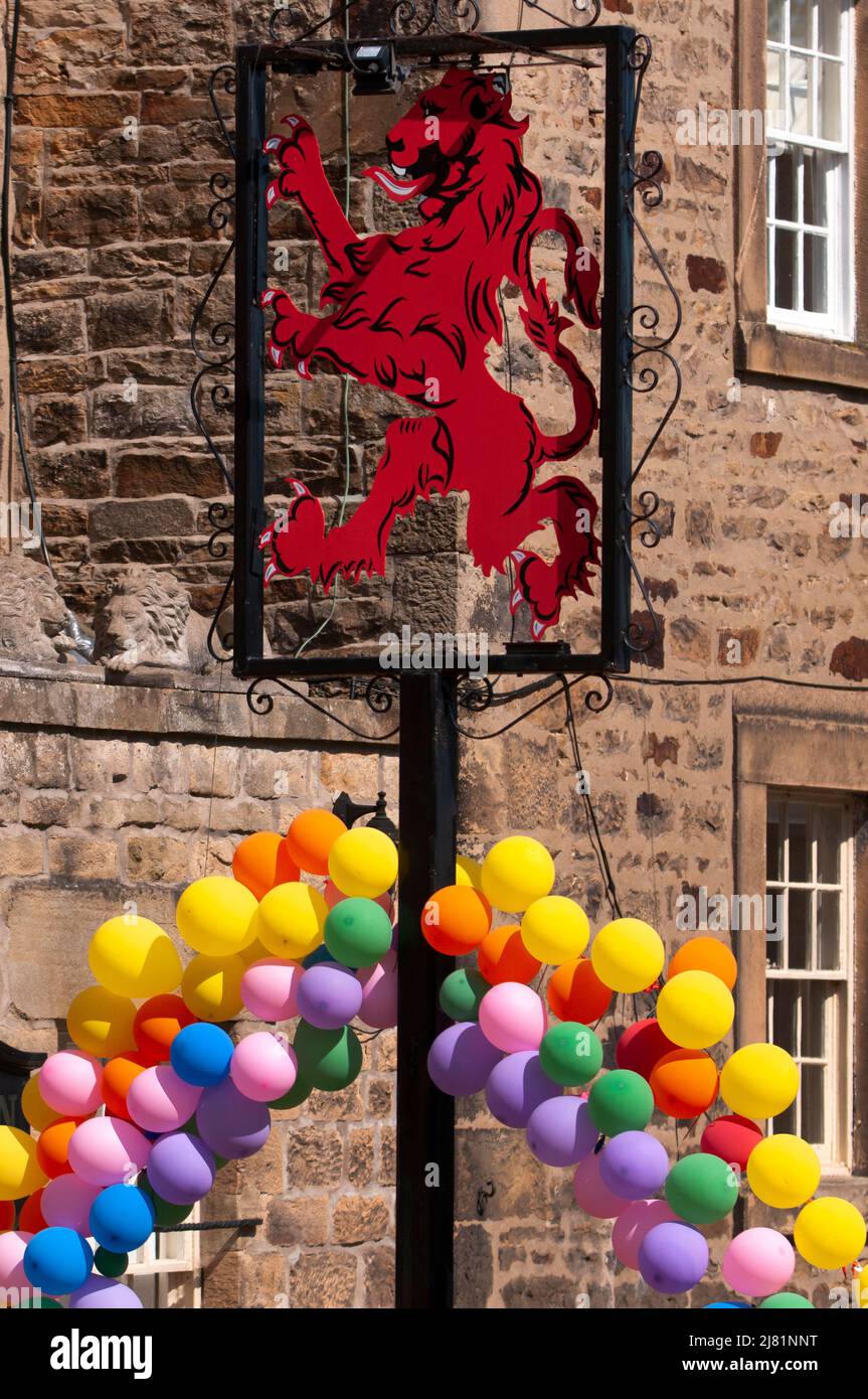 Rainbow balloons supporting the NHS outside The Red Lion pub, Newbrough ...